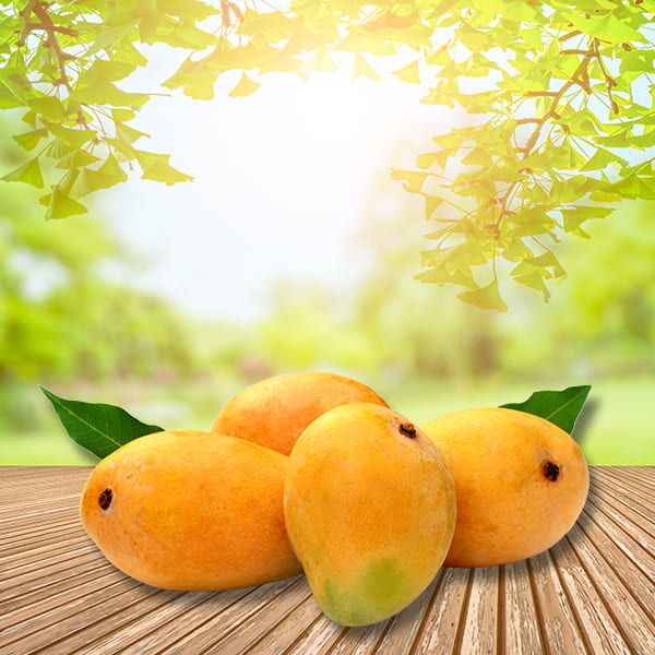 Anwar Ratol Mango – Kings Fruits